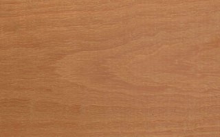 Red Gum | Timber & RoseTimber & Rose
