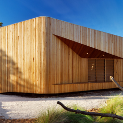 Cladding - Silvertop Ash 125x19mm Bevil Edge - Timber & Rose