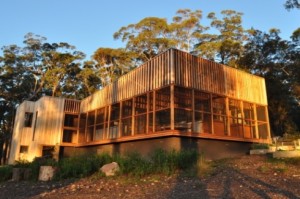 Silvertop Ash | Product categories | Timber & RoseTimber & Rose